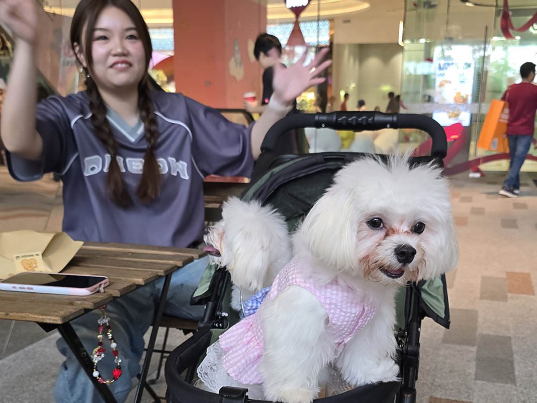 Sunway Square Mall Welcomes Pets as Sunway City’s First Pet Friendly ...